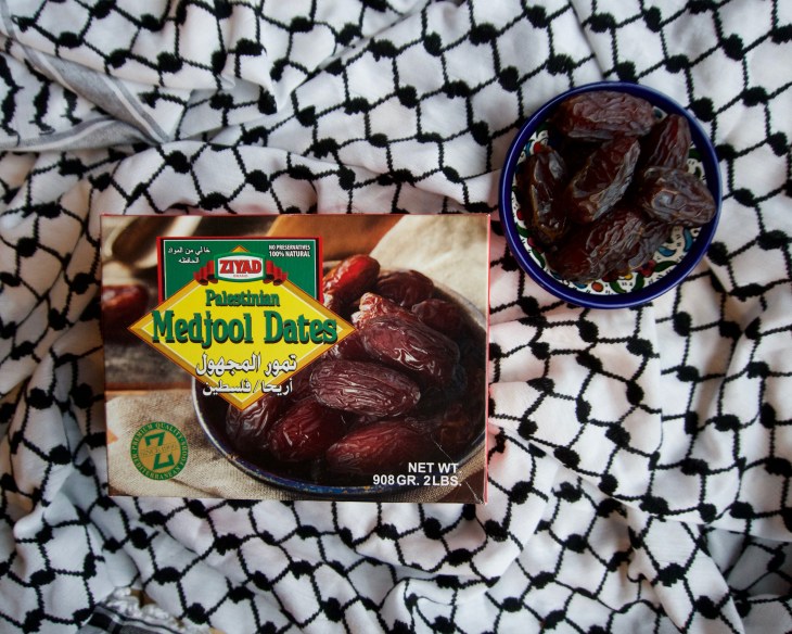 How to Support Palestinian Date Farms in Ramadan – Abeer Najjar