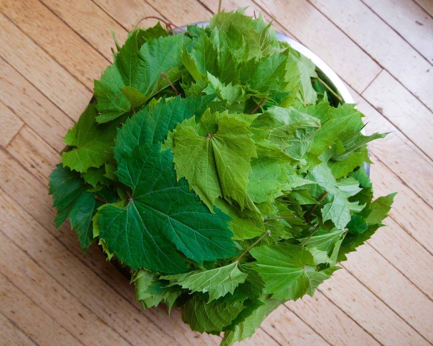 Warak Dawali | Stuffed Grape Leaves – Abeer Najjar