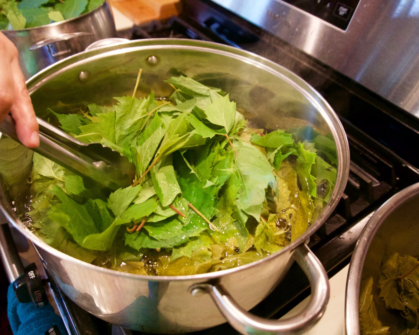 Warak Dawali | Stuffed Grape Leaves – Abeer Najjar