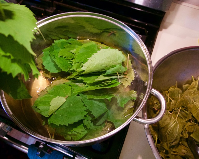 Warak Dawali | Stuffed Grape Leaves – Abeer Najjar