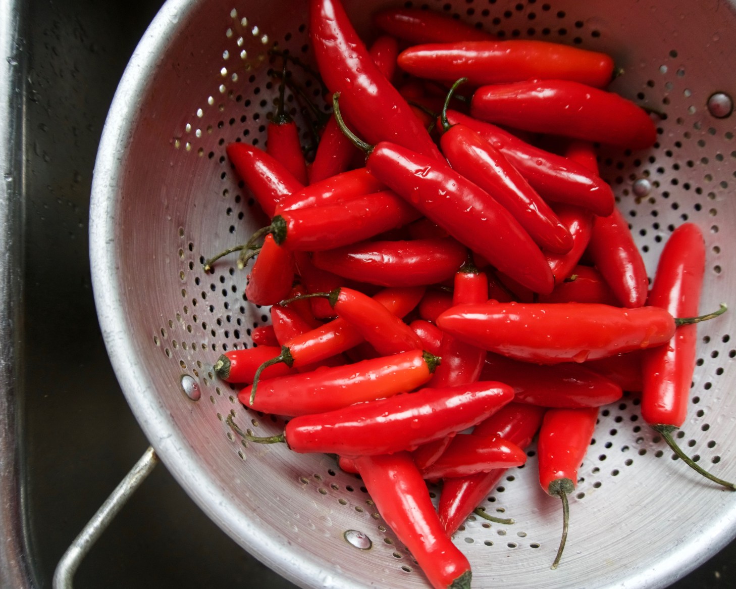 Shatta | Homemade Chili Paste – Abeer Najjar