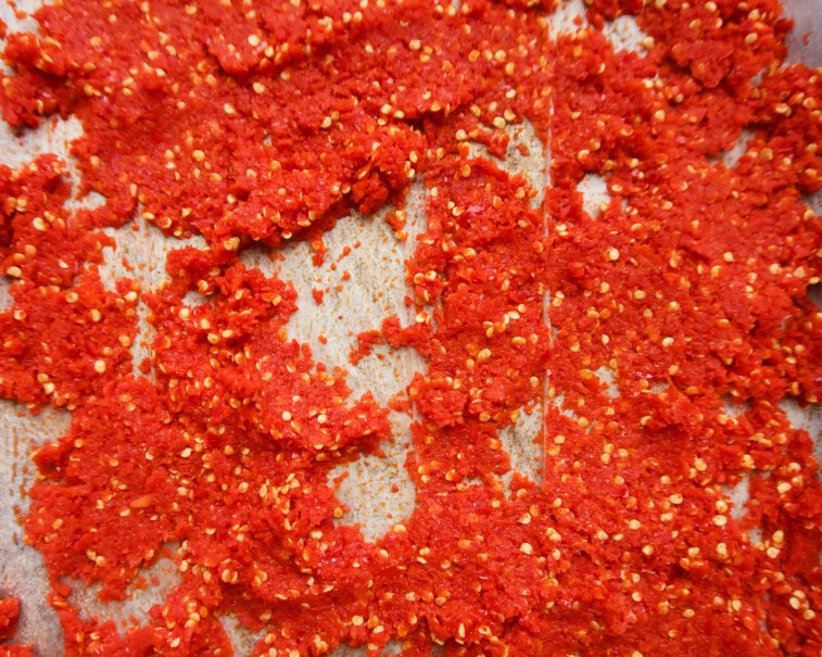 Shatta | Homemade Chili Paste – Abeer Najjar